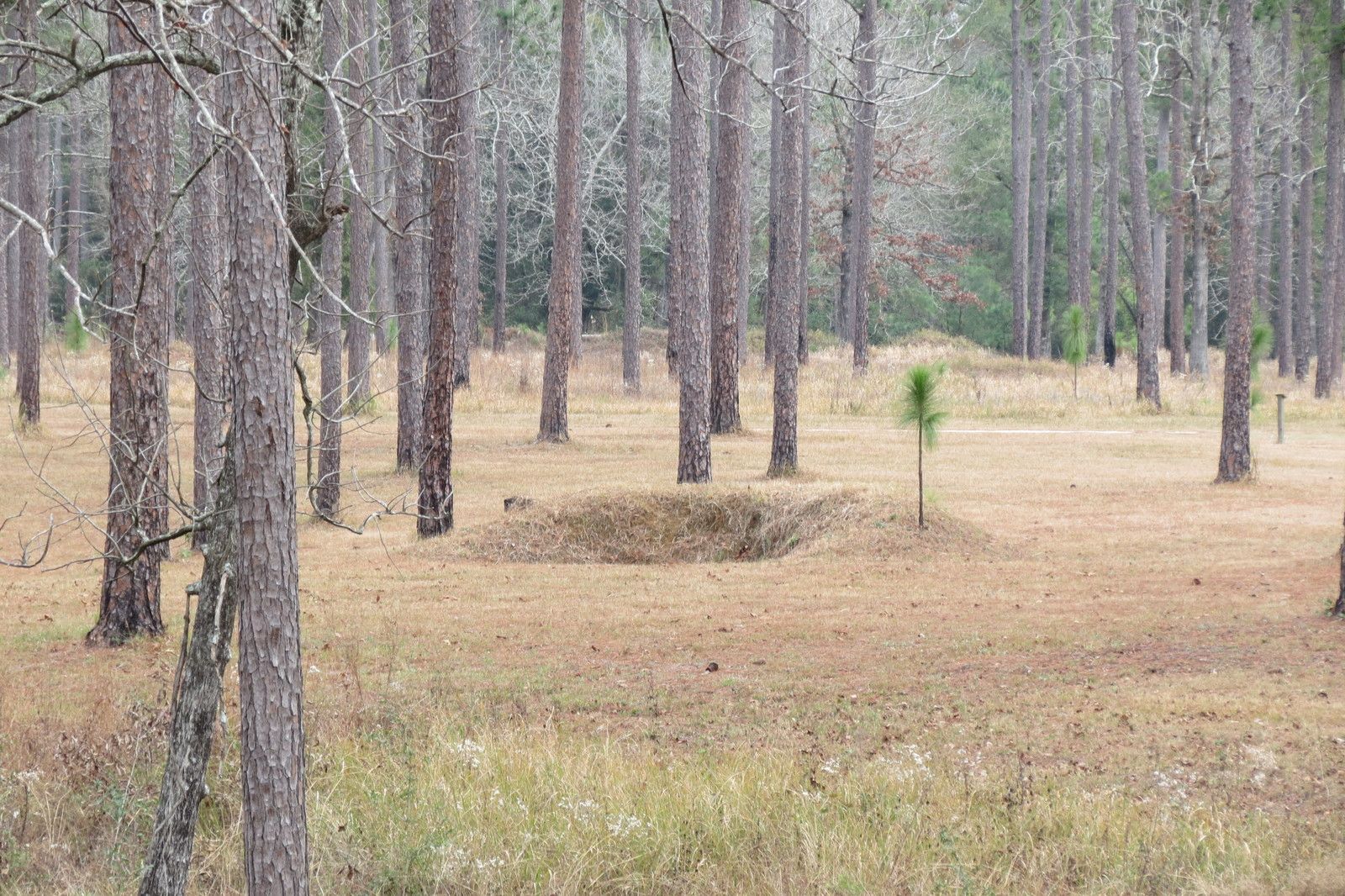 Visit to Fort Blakely, Alabama 1/5/2014 | Contemporary Photos of Sites ...