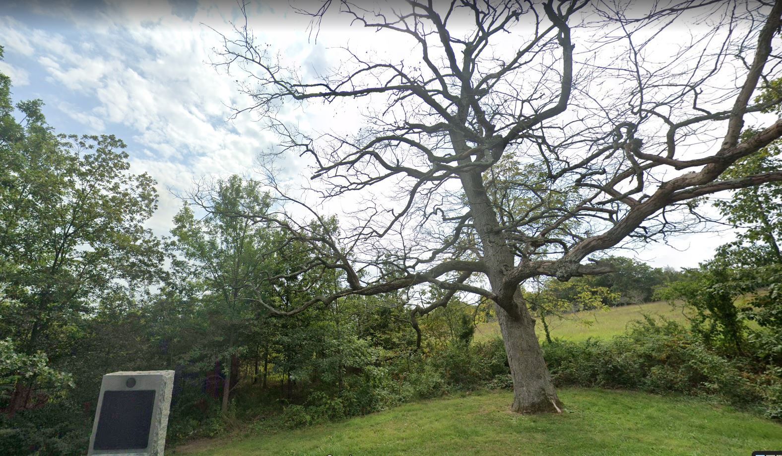 Requiem for a Witness Tree | Gettysburg | American Civil War Forums