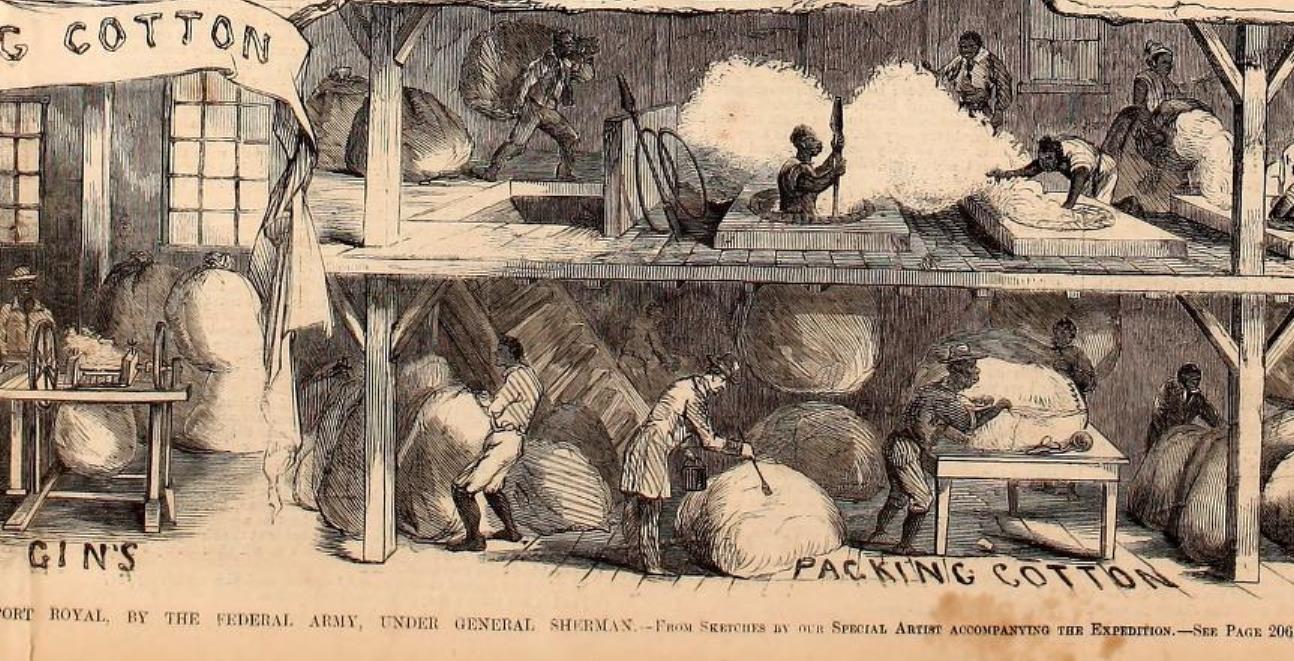 Cotton-Father Of The Feast, Or; What So Much Fuss Was Over | Civil War ...