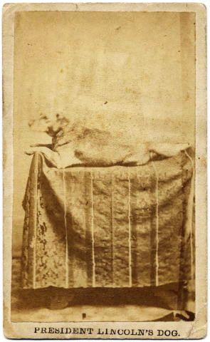 Mr. Fido Lincoln | Period Photos & Examinations | Page 4