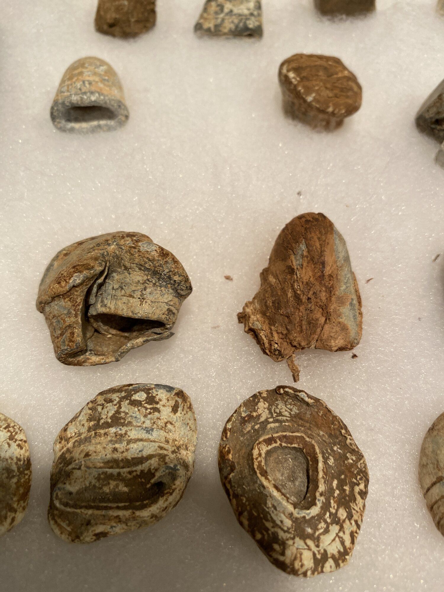 Photo of two bullets that collided at Vicksburg | Period Photos ...