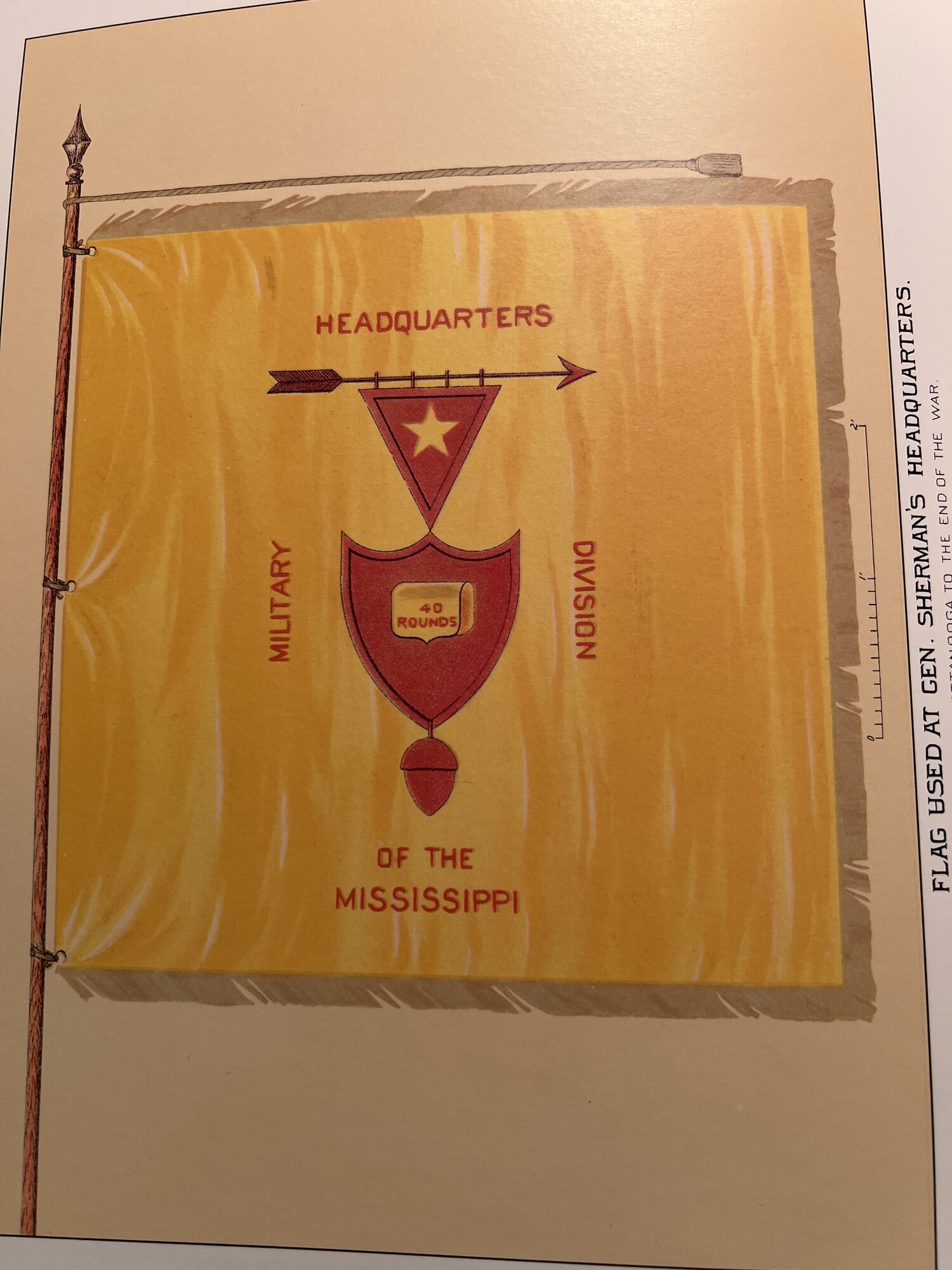 Sergeant Alex Rogers with Battle Flag | Period Photos & Examinations