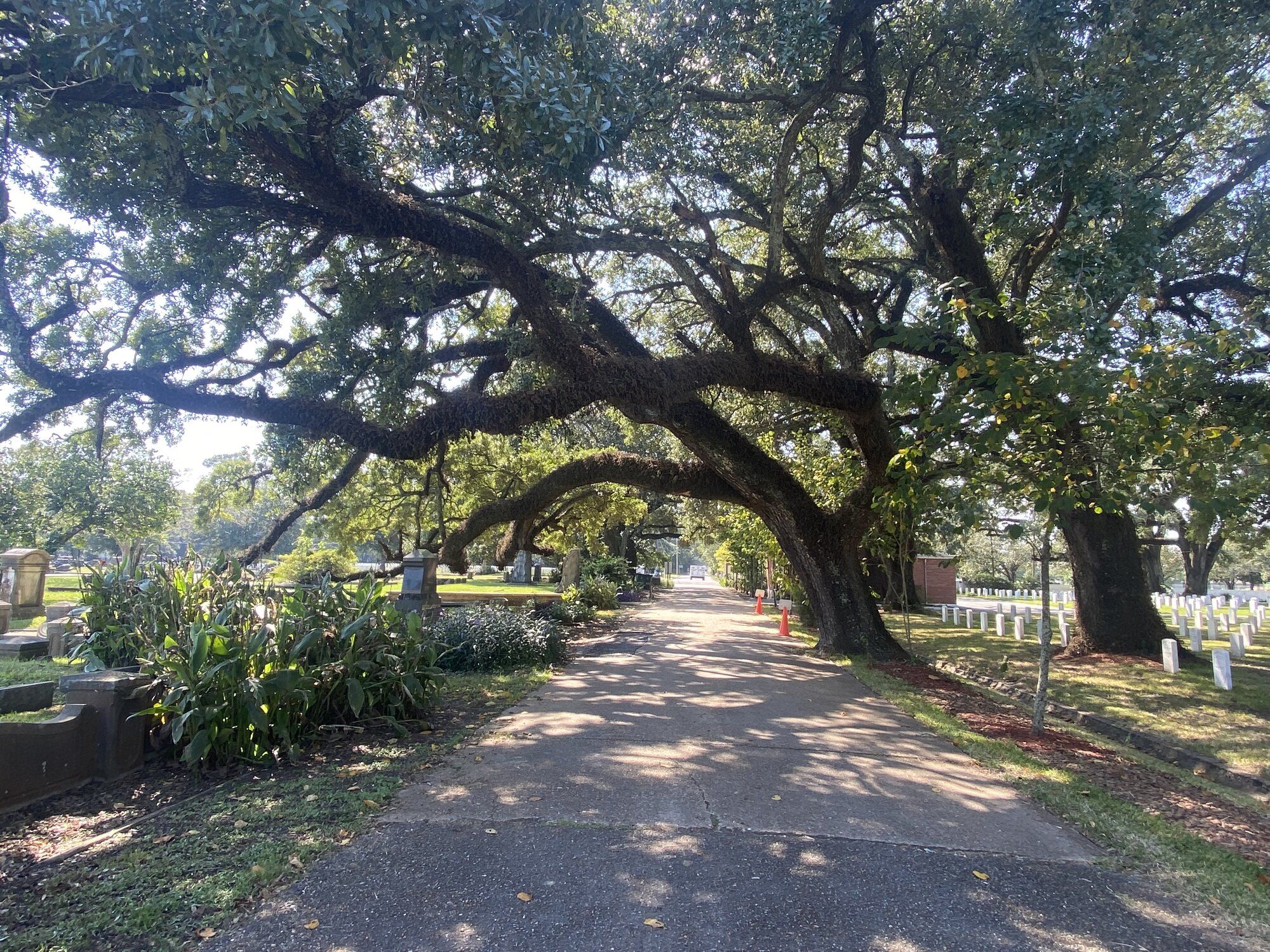 AL - Mobile, Alabama | Civil War Cemeteries: Where Valor Proudly Sleeps ...