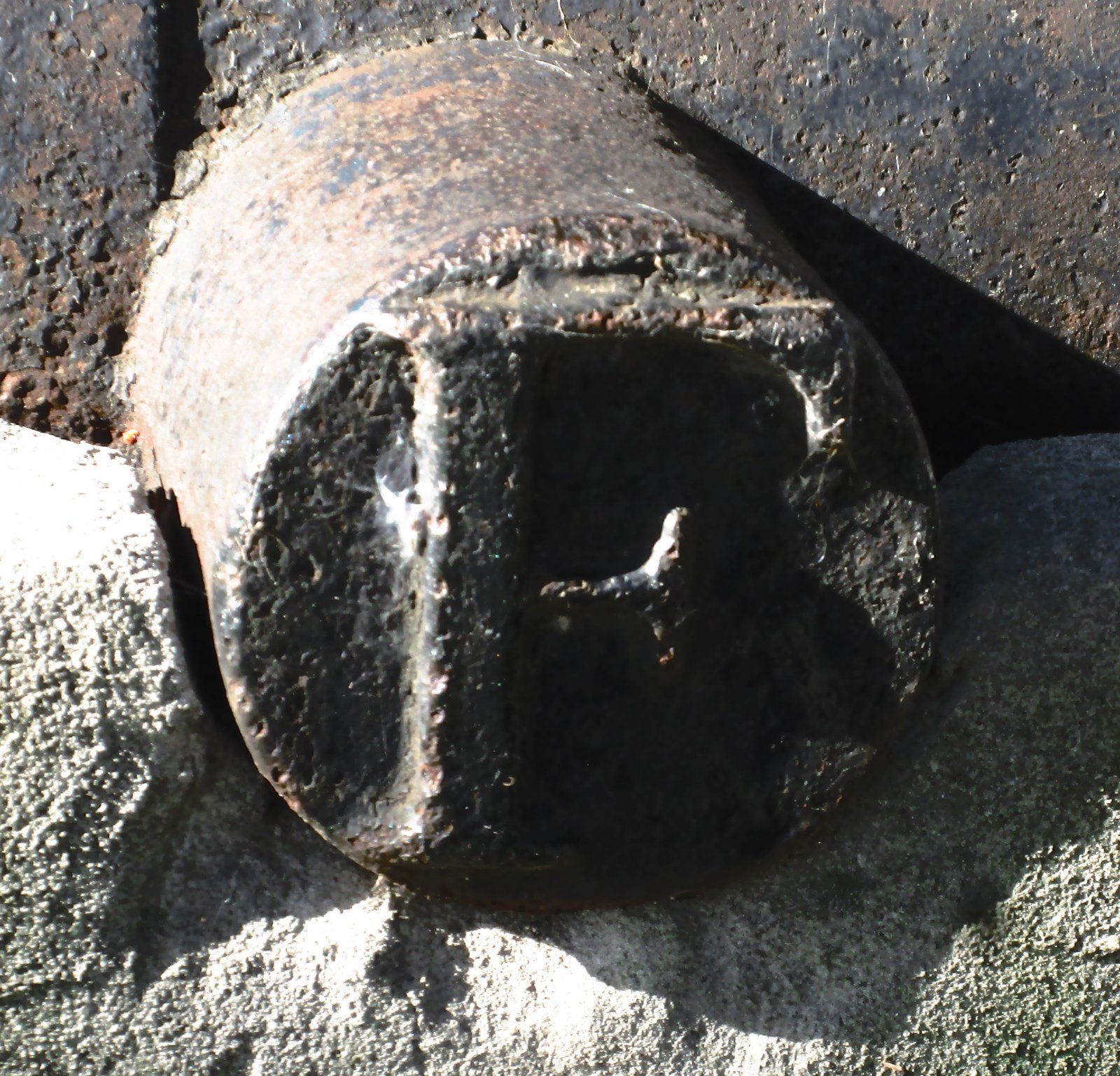4 pound cannon at Evansville, Indiana | Cannons / Artillery & Crew ...