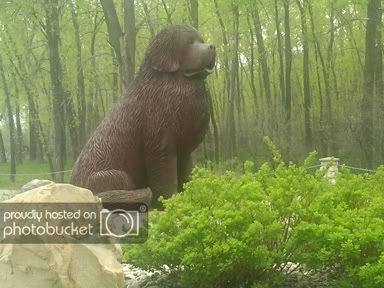Seaman, the Newfoundland Dog | Four Footed Friends