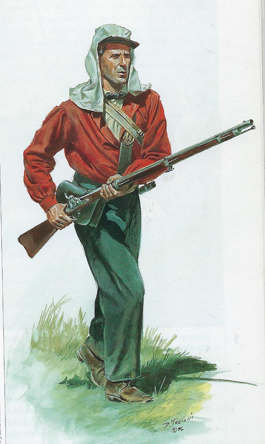 Camp of the 1st Minnesota Volunteer Infantry Regiment in Poolesville ...
