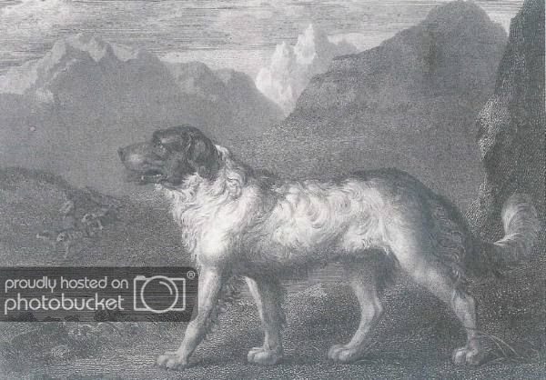 Seaman, the Newfoundland Dog | Four Footed Friends