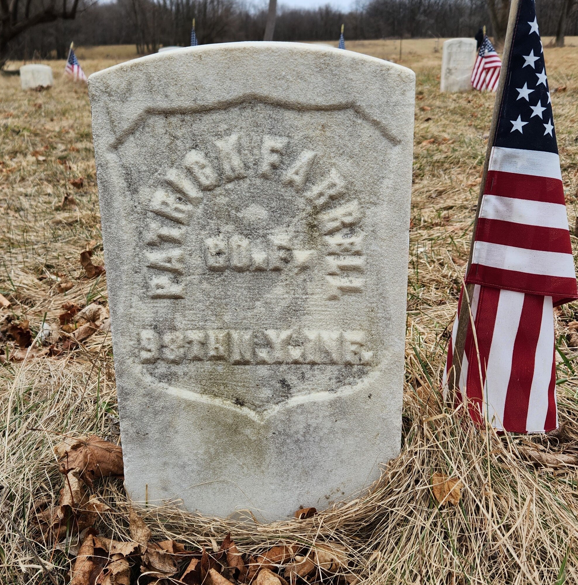 NY - The Willard Asylum Cemetery, Romulus, New York | Civil War ...