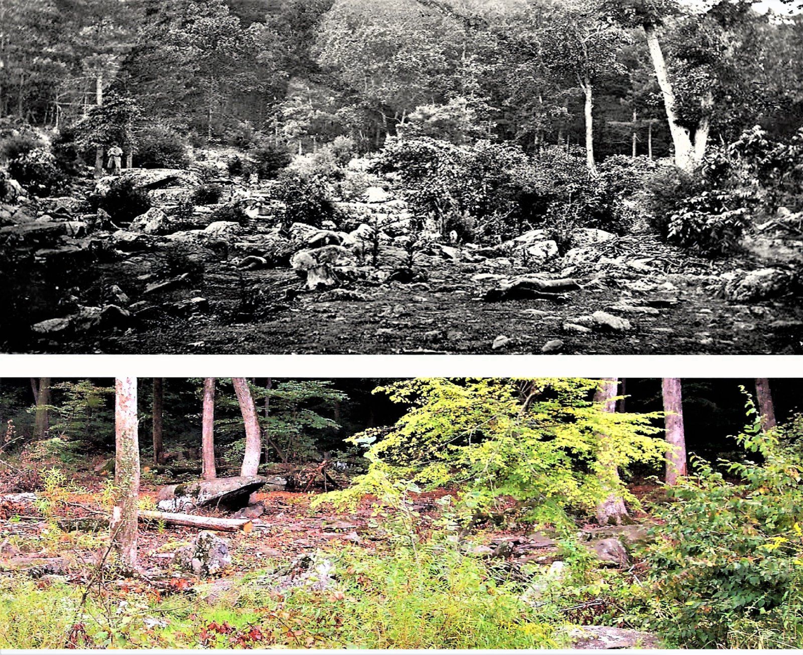 Slaughter Pen July 6th, 1863 | Gettysburg